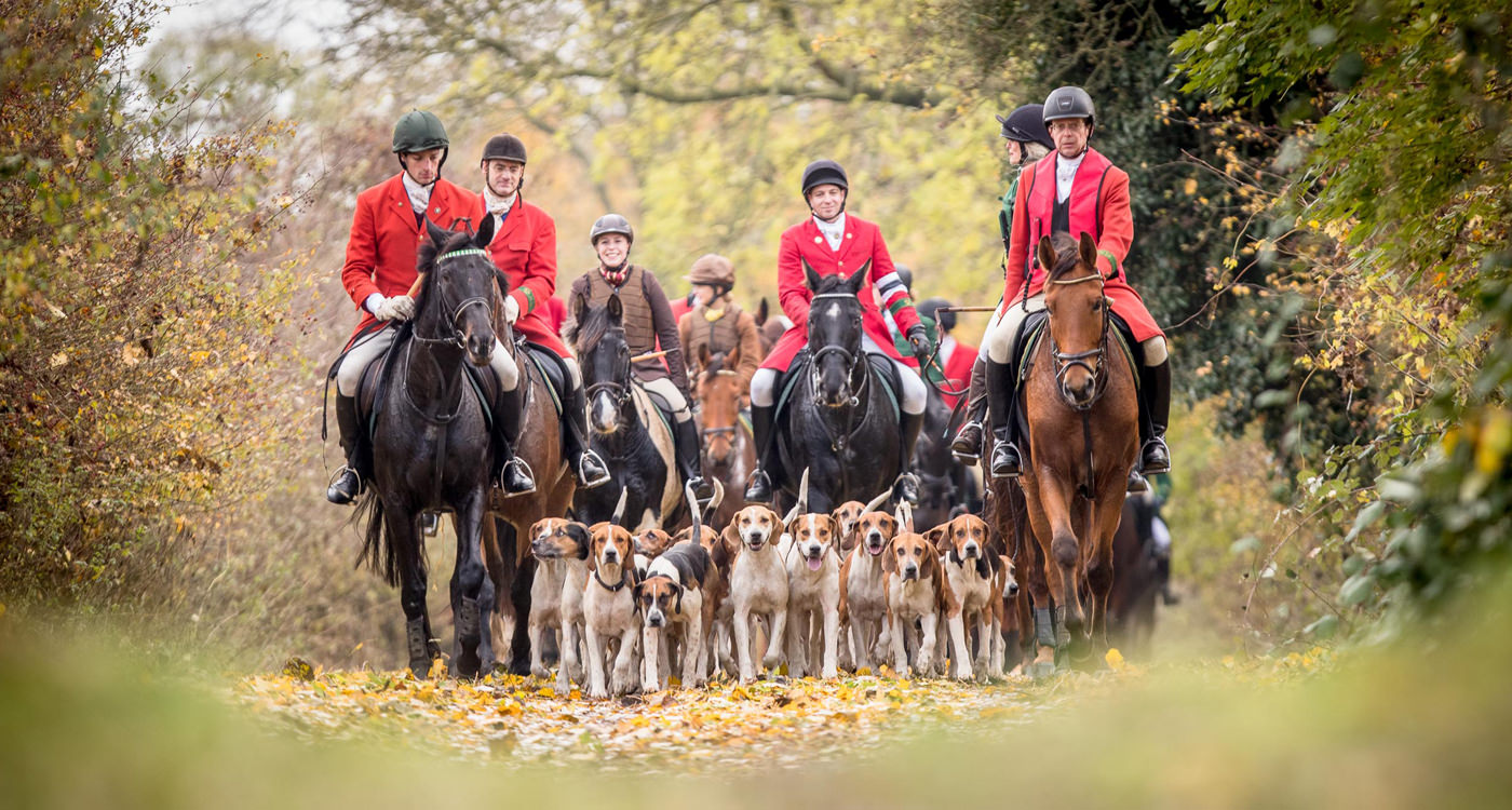 Jagdreitertage - Niedersachsen-Meute e. V.